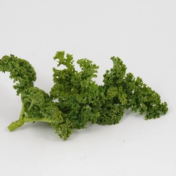 Koolplanten kopen. koolplant,telen,kweken, zaaien in moestuin ...