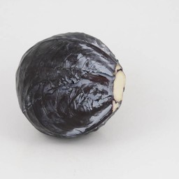 Koolplanten kopen. koolplant,telen,kweken, zaaien in moestuin ...