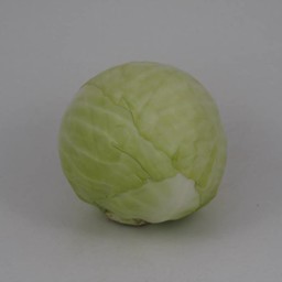 Koolplanten kopen. koolplant,telen,kweken, zaaien in moestuin ...