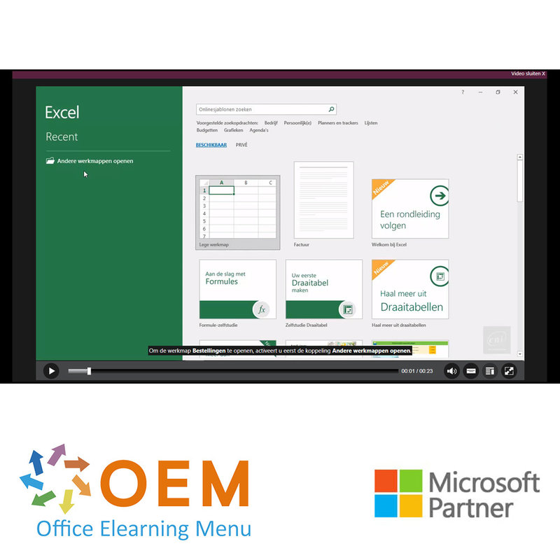 Excel 2019 Basis Cursus E-Learning + Online boek - OEM