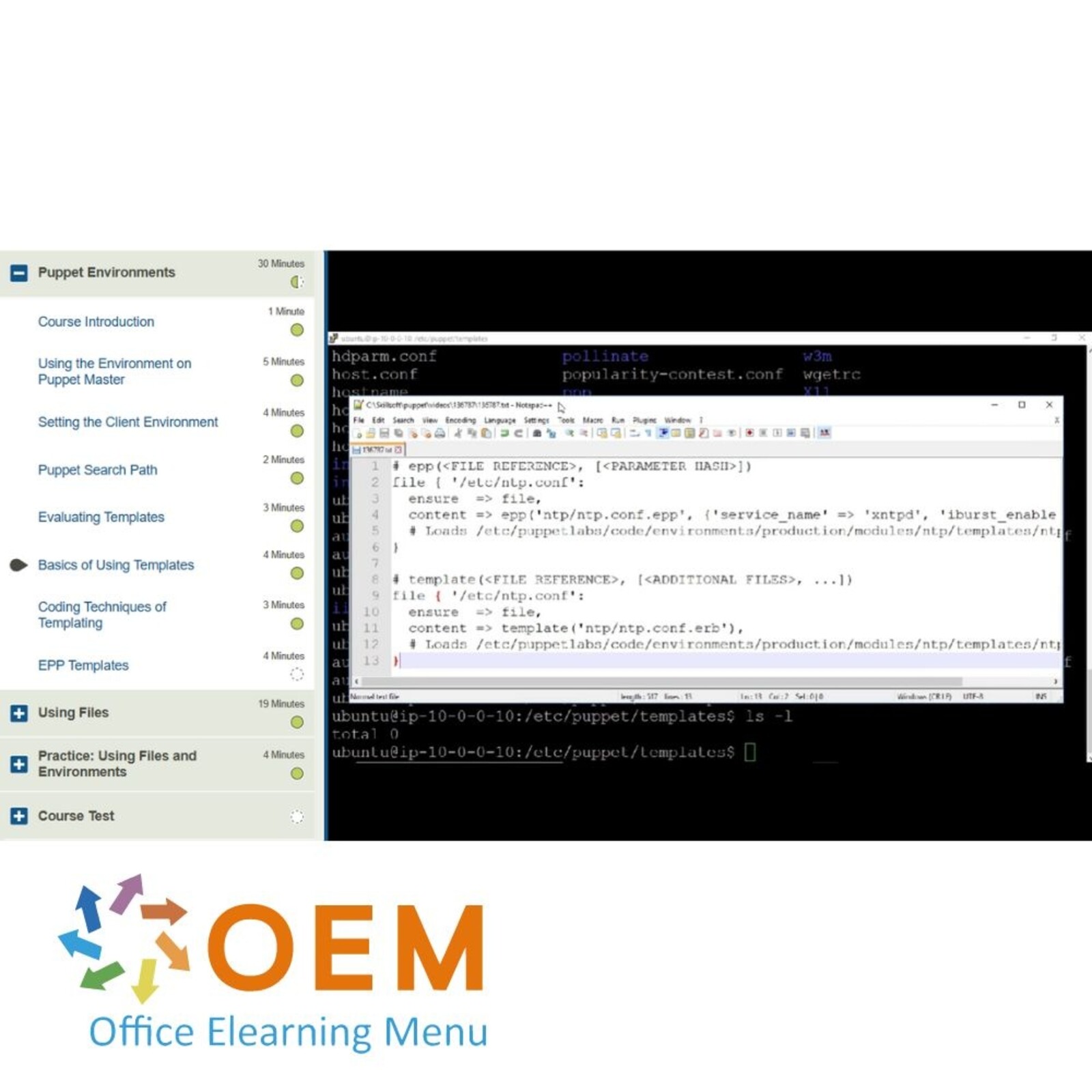 Master DevOps Puppet Training - OEM