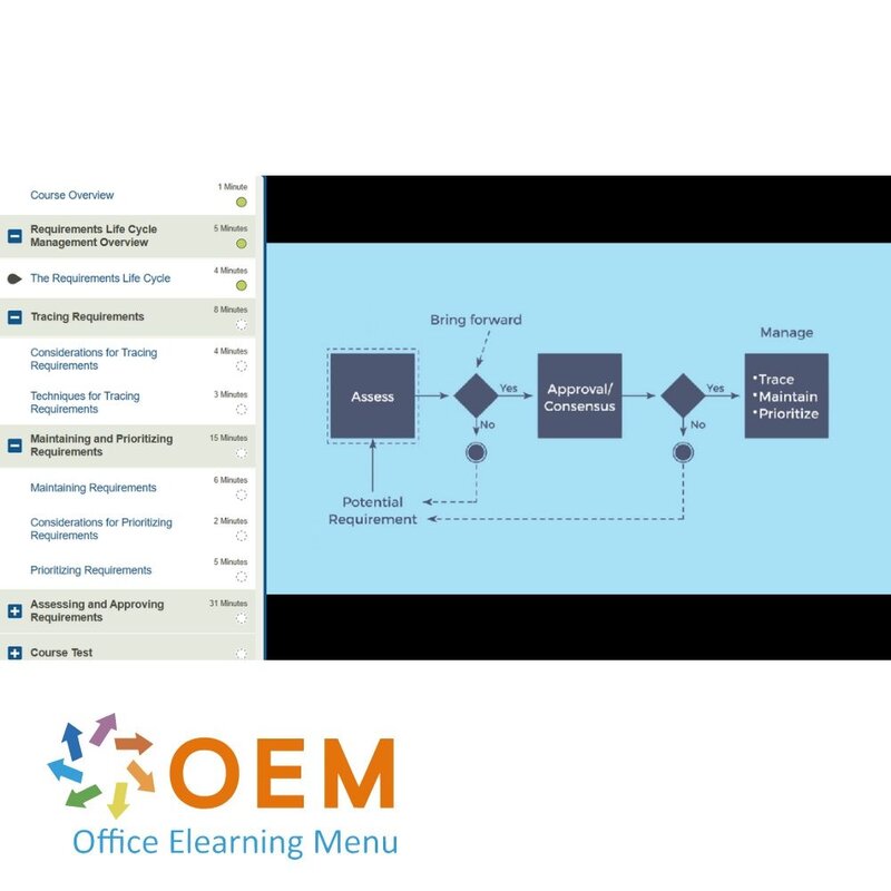BABOK® v3 Business Analysis Key Concepts E-Learning Training - OEM