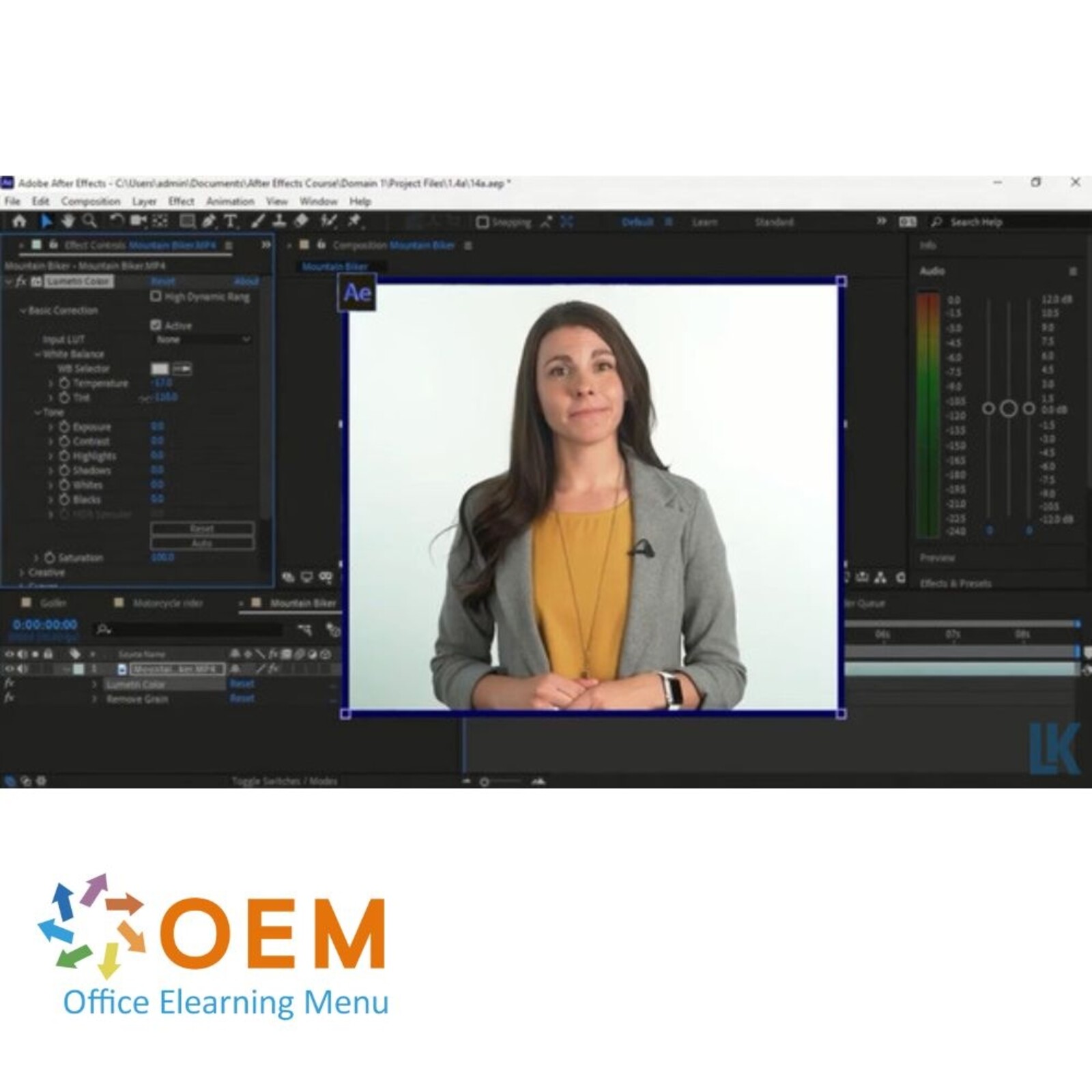 Adobe After Effects CC 2021 Cursus E-Learning - OEM