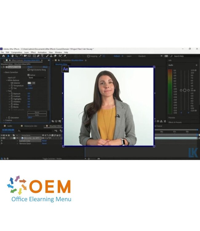 Adobe After Effects CC 2021 Course E-Learning - OEM ICT Training & Advice