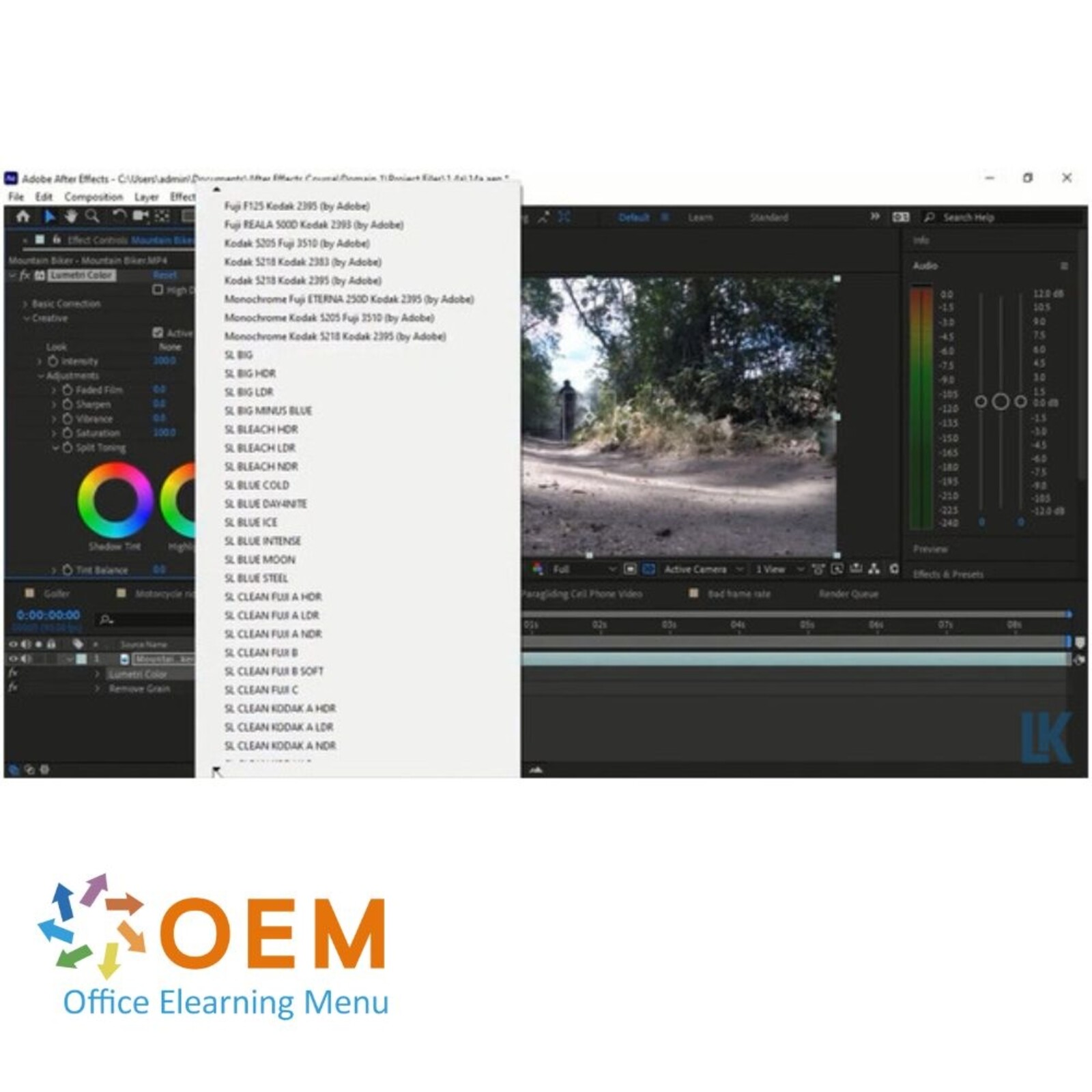 Adobe After Effects CC 2021 Cursus E-Learning - OEM