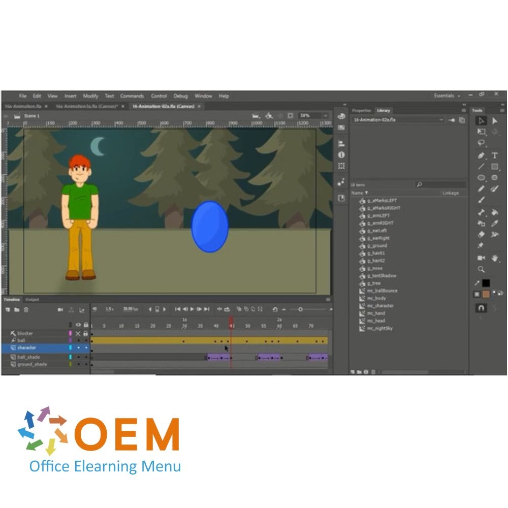 Adobe Animate CC 2021 Course E-Learning - OEM ICT Training & Advice