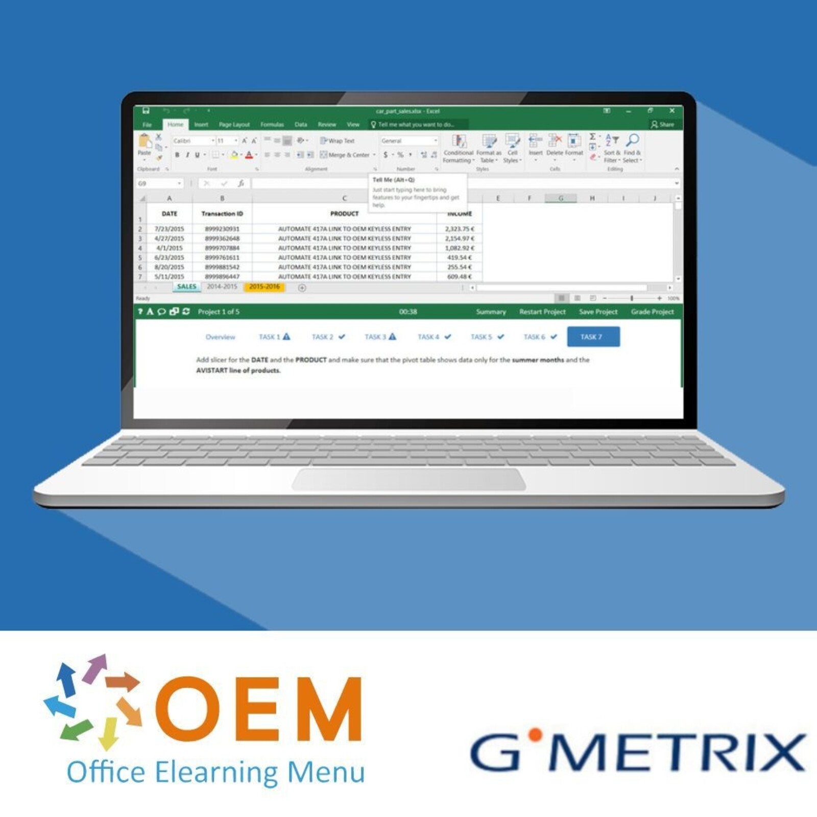 MO-201 Excel Expert 2019 GMetrix Practice Exam - OEM