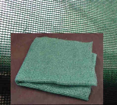 Shadow mat - Uhlig Kakteen - more than 5,000 different species