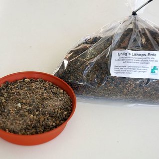 Lithops substrate - Uhlig Kakteen - more than 5,000 different species