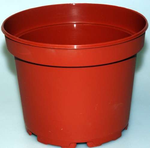 Pot rond XL 15,0 x 11,7 cm - Uhlig Kakteen - plus de 5000 d'espèces ...