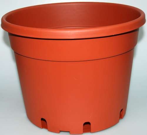 Pot rond XL 31 x 23,0 cm - Uhlig Kakteen - plus de 5000 d'espèces ...