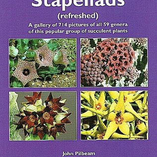 Stapeliads John Pilbeam - Uhlig Kakteen - more than 5,000 different species