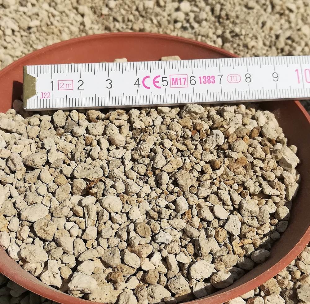 Fine pumice - Uhlig Kakteen - more than 5,000 different species