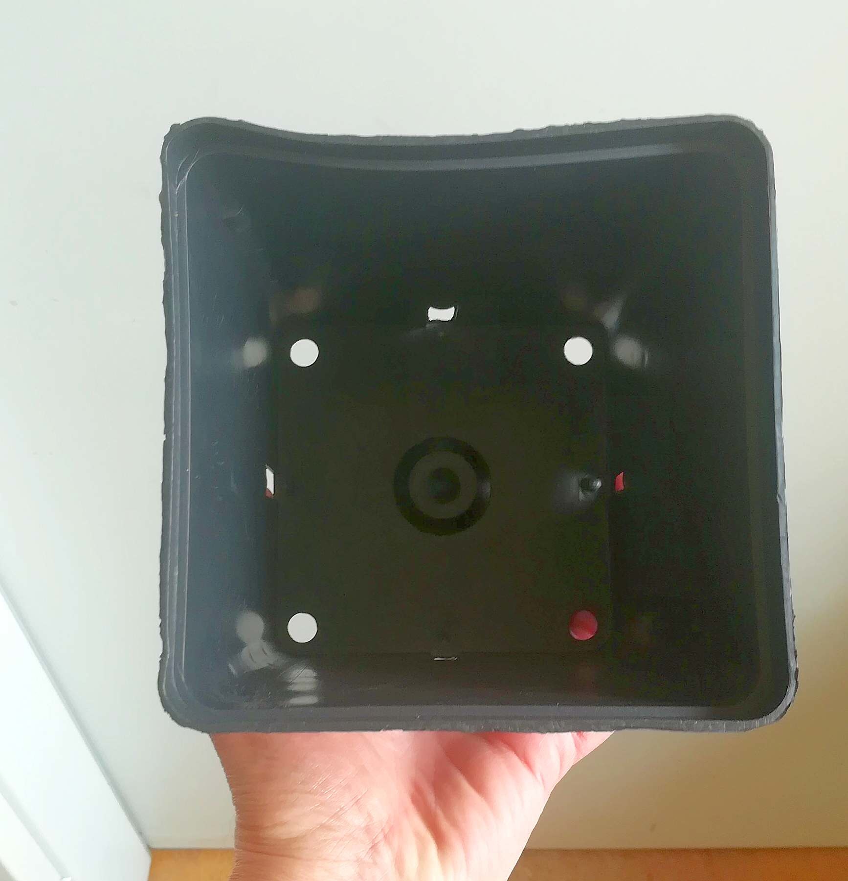 Square container pots 14 x 14 x 14 cm - Uhlig Kakteen - more than 5,000 ...