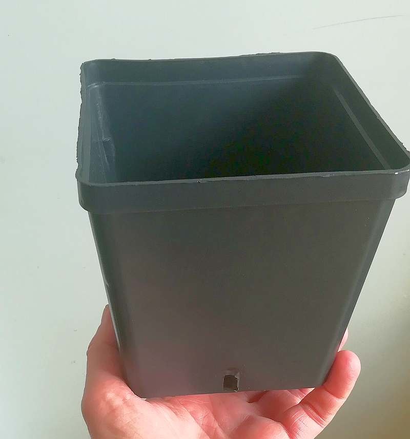 Square container pots 14 x 14 x 14 cm - Uhlig Kakteen - more than 5,000 ...