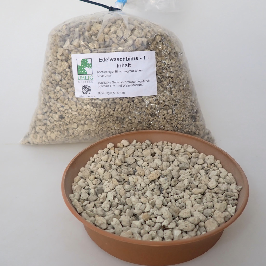 Fine pumice - Uhlig Kakteen - more than 5,000 different species