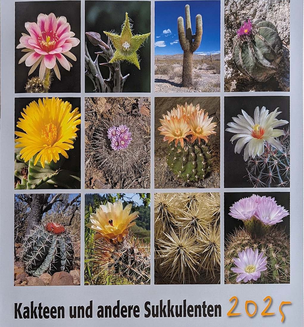 Cacti and succulents calendar - Uhlig Kakteen - more than 5,000 ...