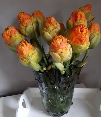 Französische Tulpen | Tulipstore.eu - Tulip Store