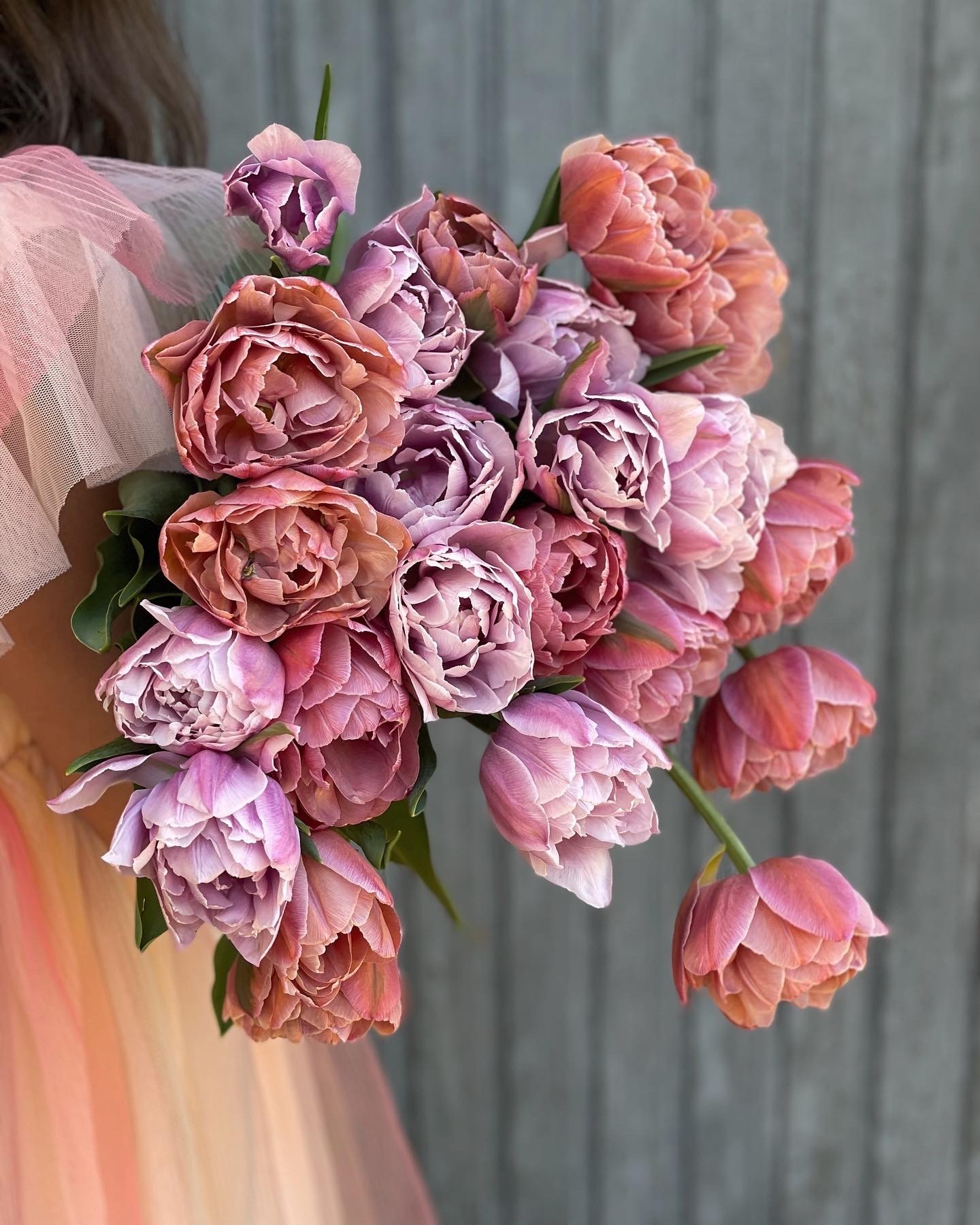 Tulip bulbs Michaela's Inspiration - a wonderful mixture of tulips ...