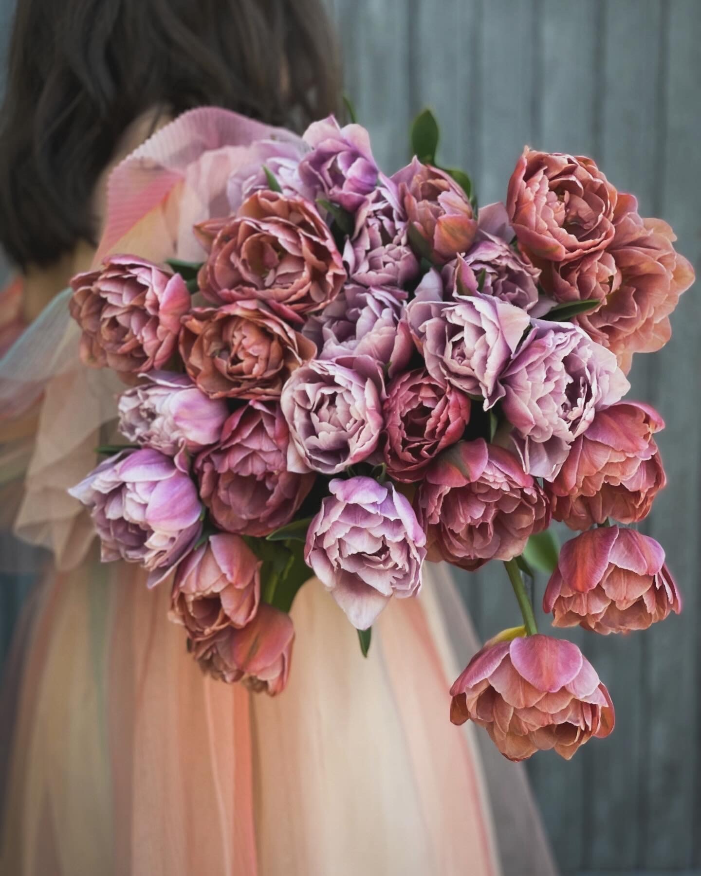 Tulip bulbs Michaela's Inspiration - a wonderful mixture of tulips ...