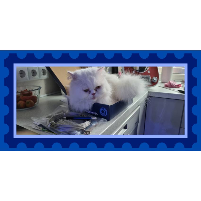 Wire Rope Stainless 20 Meter 2Mm For Sale - Wire rope stunter