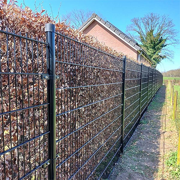 Dubbelstaafmat 8/6/8 Excellent | Gecoat RAL6009, 9005 of 7016 - Hekwerk ...