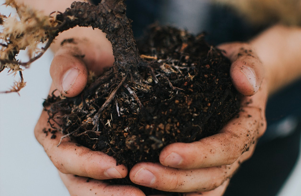 Composteren: handige starter tips om compost te maken - Graszaaddirect