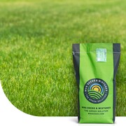Graszaad kopen? Bestel voordelig online! - Graszaaddirect
