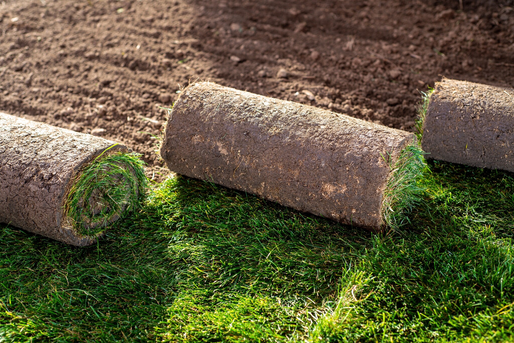 Zelf graszoden leggen – Stappenplan voor een strak gazon - Graszaaddirect