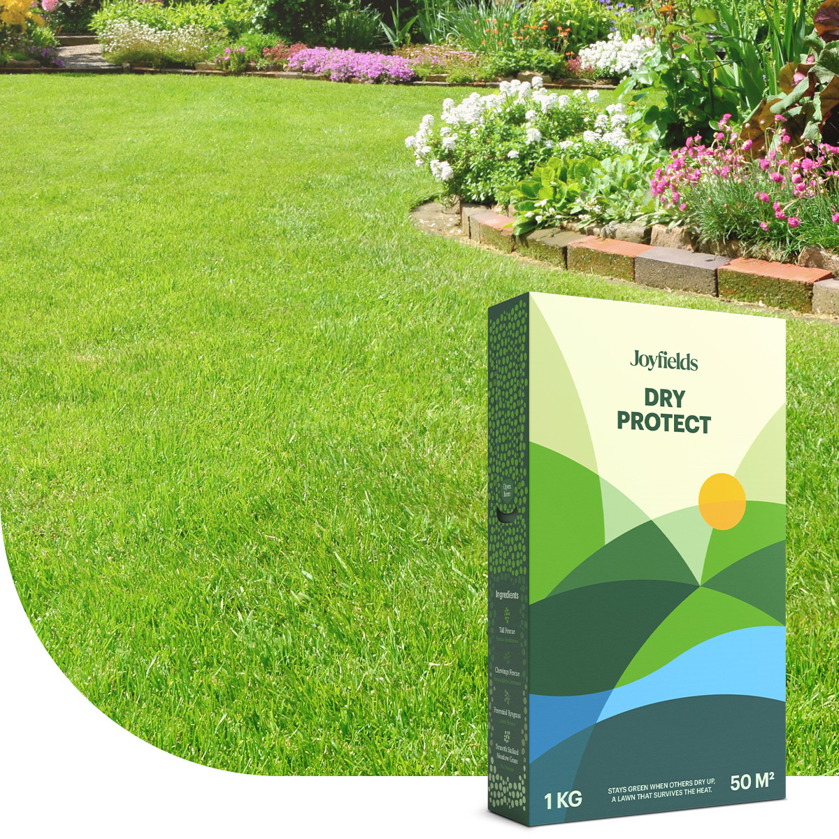 Dry Protect – Droogtebestendig graszaad | Joyfields