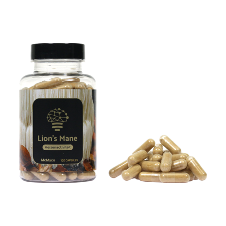 Découvrez le pouvoir naturel des capsules Lion's Mane - Novus Fumus