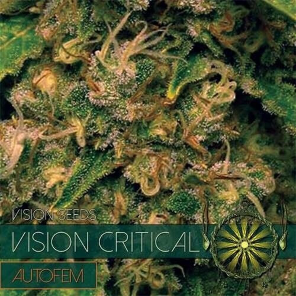 Vision Seeds - Vision Critical – AutoFem - Novus Fumus