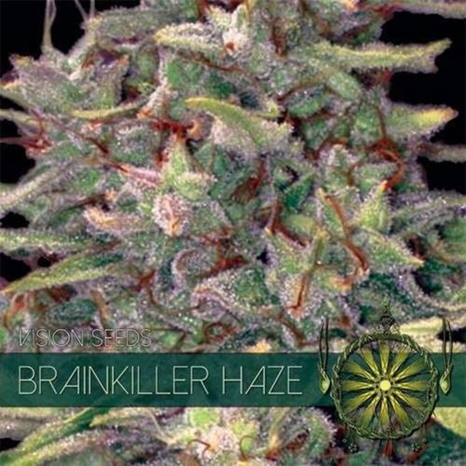 Brainkiller Haze | Order Discreetly Online - Novus Fumus