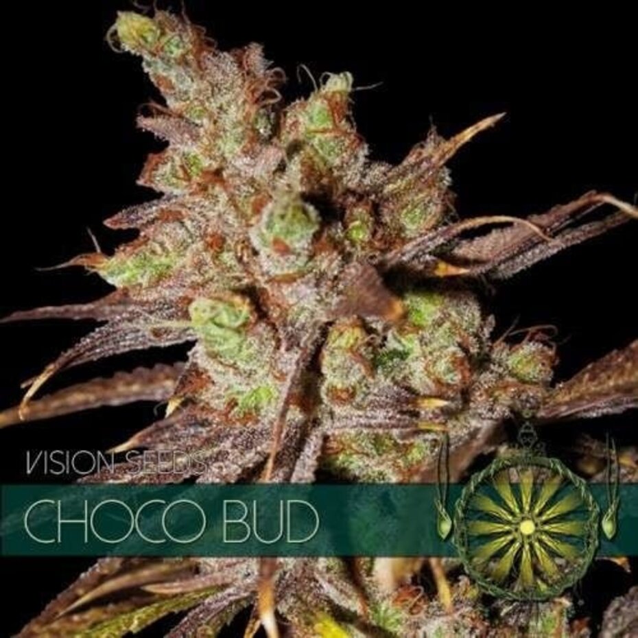 Choco Bud | Bestel Diskreet Online - Novus Fumus