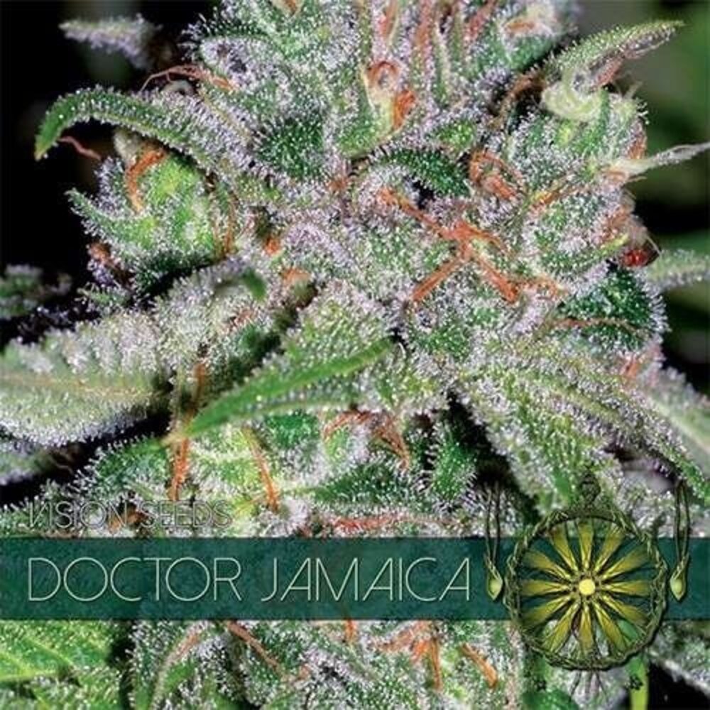 Doctor Jamaica | Bestel Diskreet Online - Novus Fumus