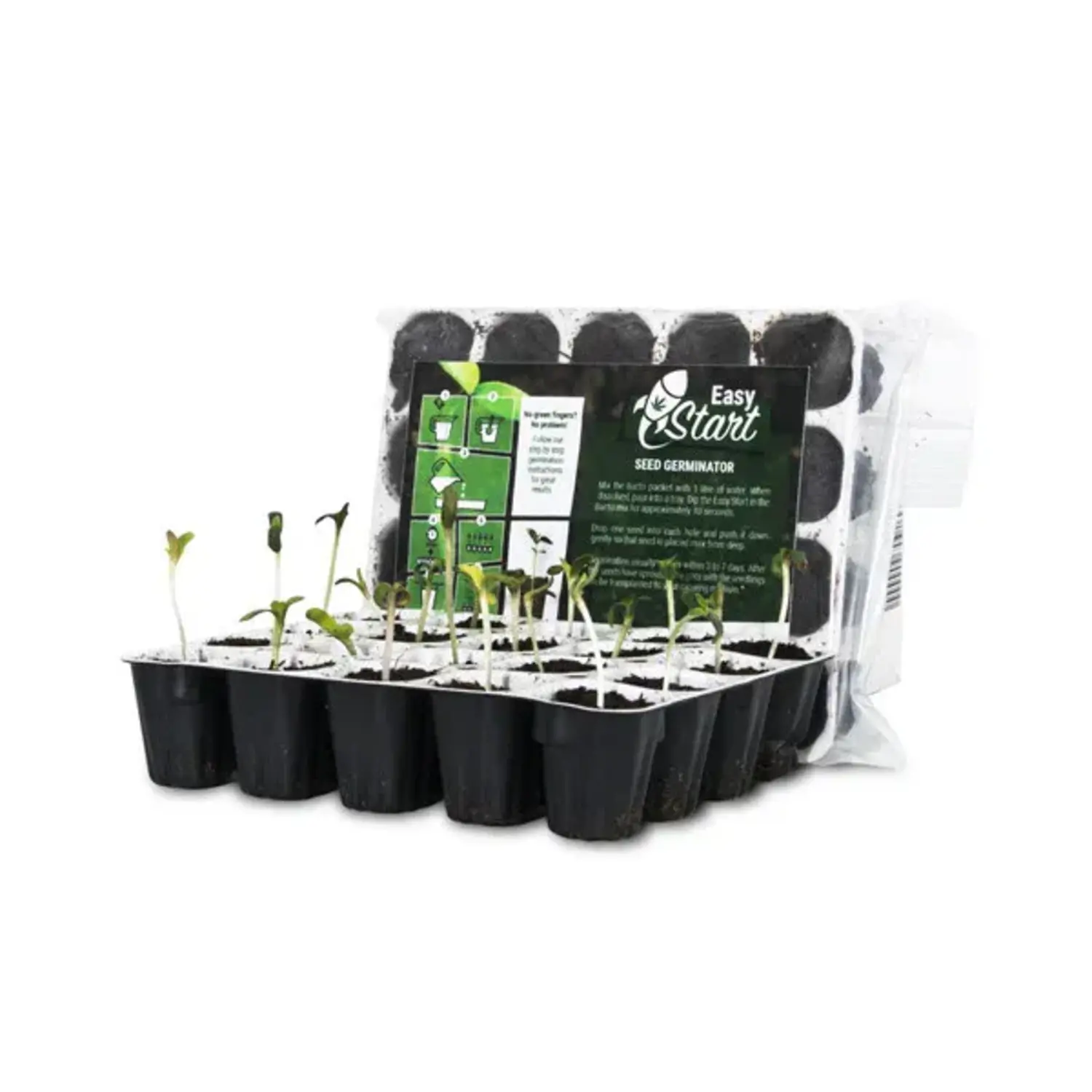 Marijuana Seed Germination Kit 6 Great Methods For Germinating