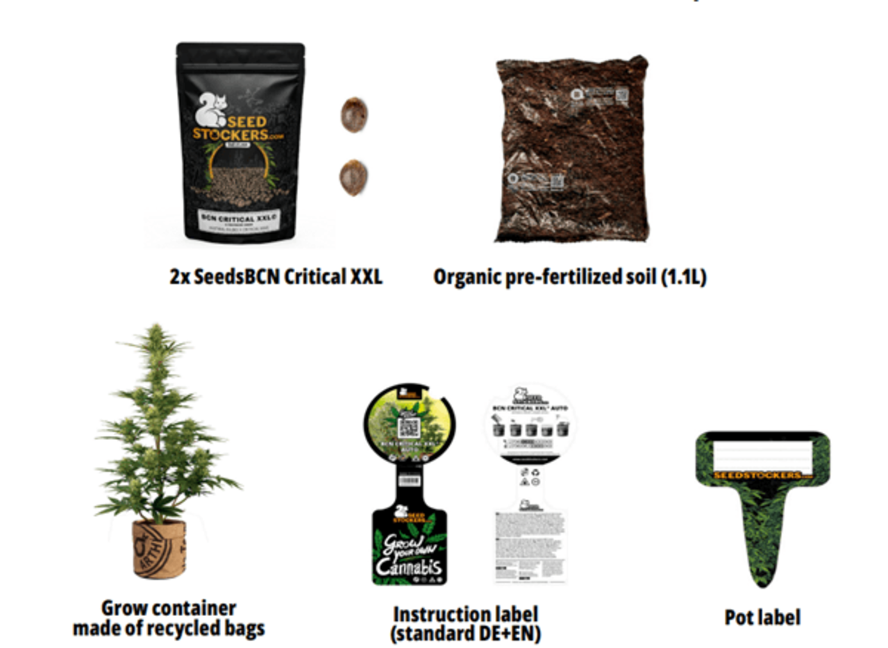 Mini Grow Kit - Complete Wiet Kweekset voor Beginners - Novus Fumus