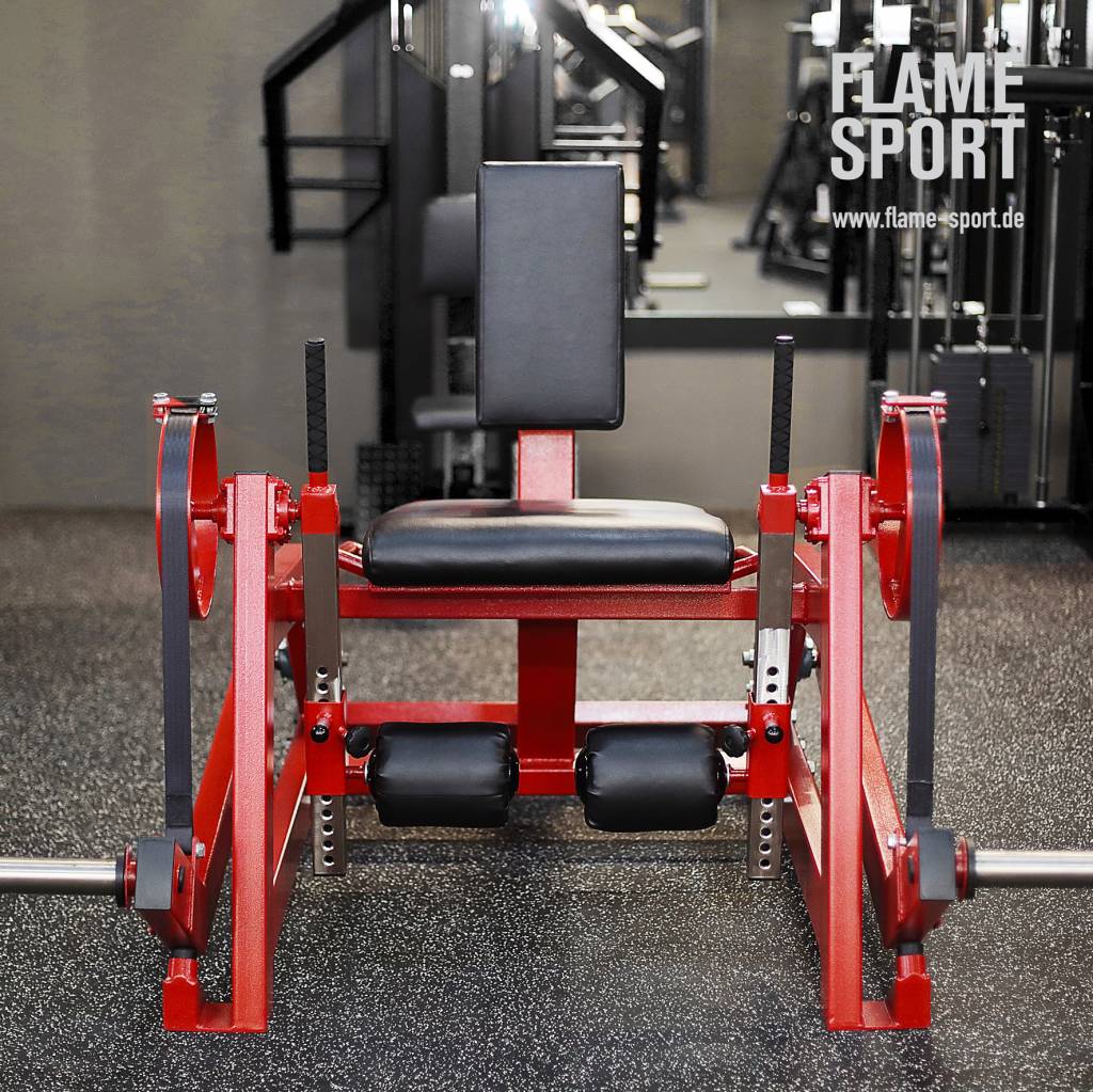 Leg Extension Machine (6D) plate loaded / Flame Sport - FLAME SPORT ...