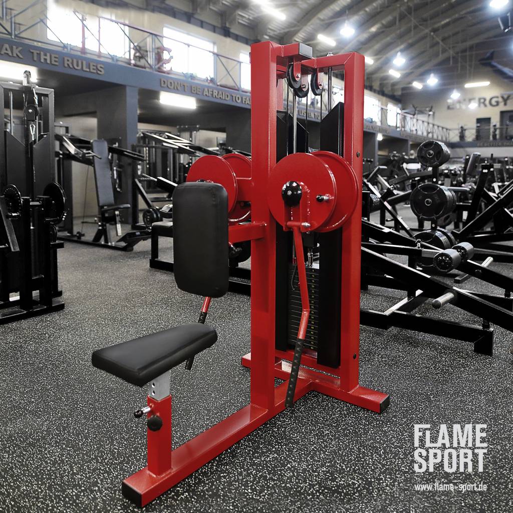 Lateral Shoulder Raise (3PXX) Flame Sport - FLAME SPORT - Professional ...