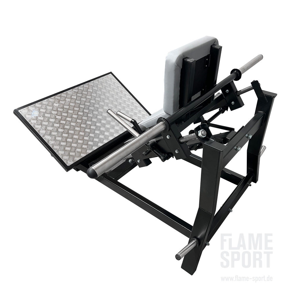 Seated Hack Squat Machine / Hackenschmidt (1DXX) FLAME SPORT - FLAME ...