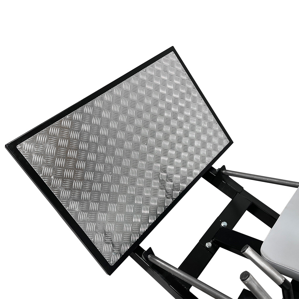 Seated Hack Squat Machine / Hackenschmidt (1DXX) FLAME SPORT - FLAME ...