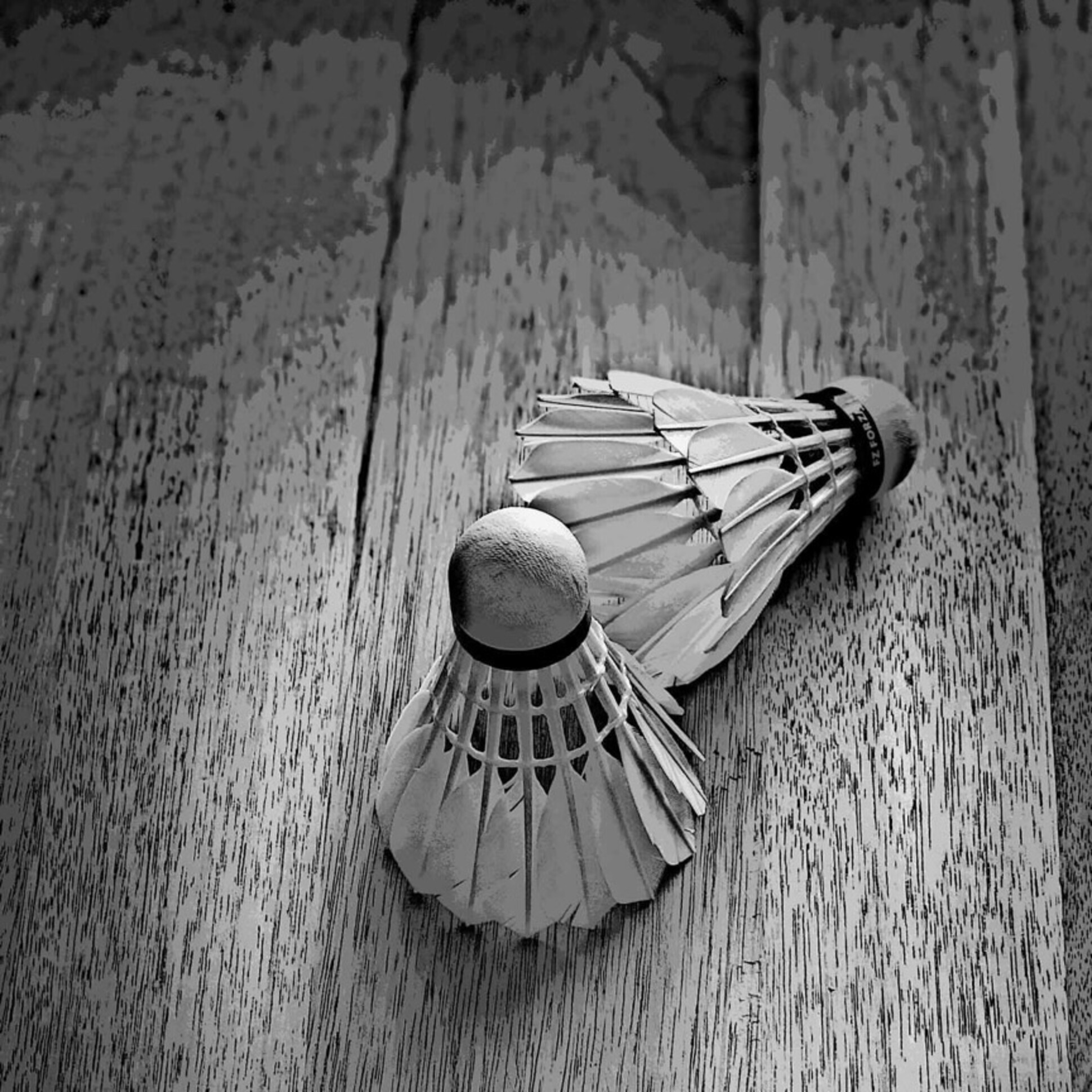 Feather shuttlecock differences | Goose vs duck feathers - KW FLEX ...