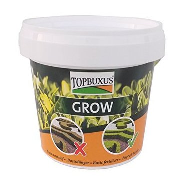 Topbuxus Grow - Compleetgroen