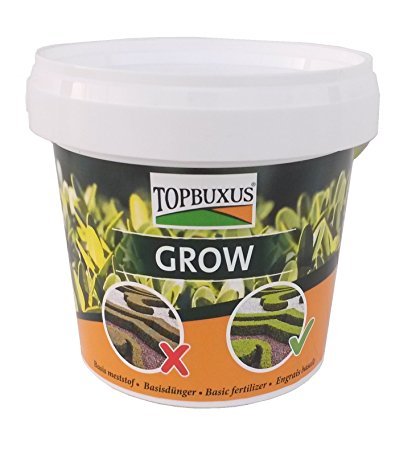 Topbuxus Grow - Compleetgroen