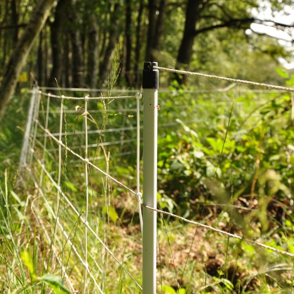 Gallagher Wild Boar Netting 75 cm | 50 m - White