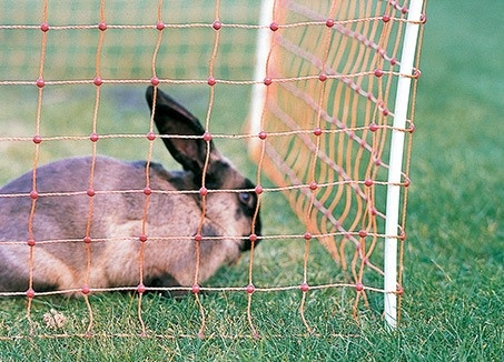 Buy Rabbit Deterrents & Scarers for Gardens