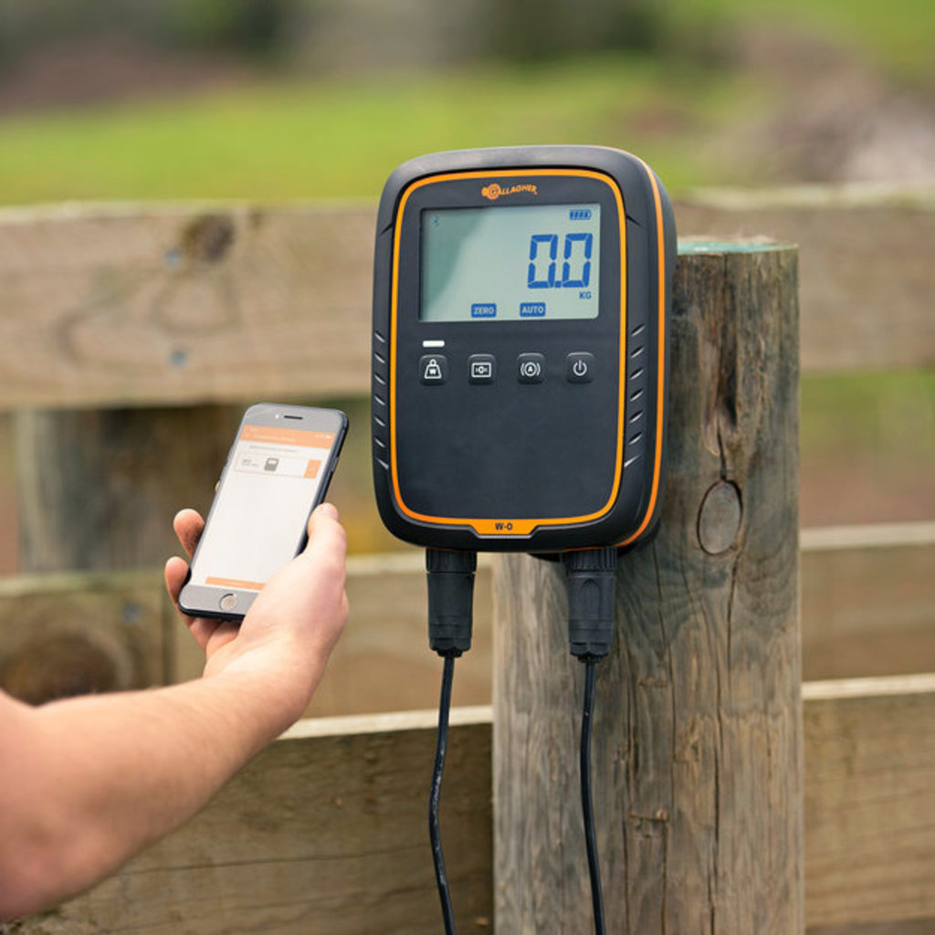 Gallagher Animal Scale - W-0 - Electric Fence Online