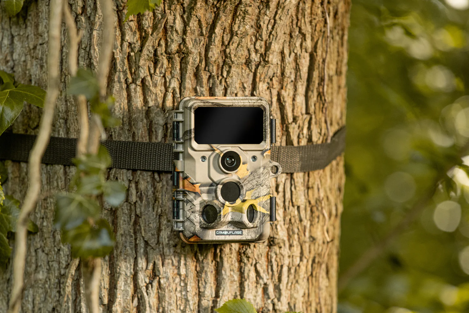 Capture wildlife with latest trail cameras