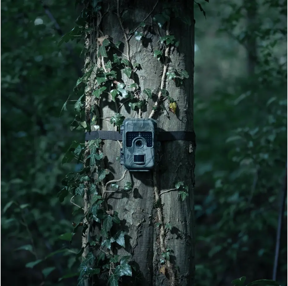 Advice & Inspiration - Check your fence: how farmers use wildlife ...