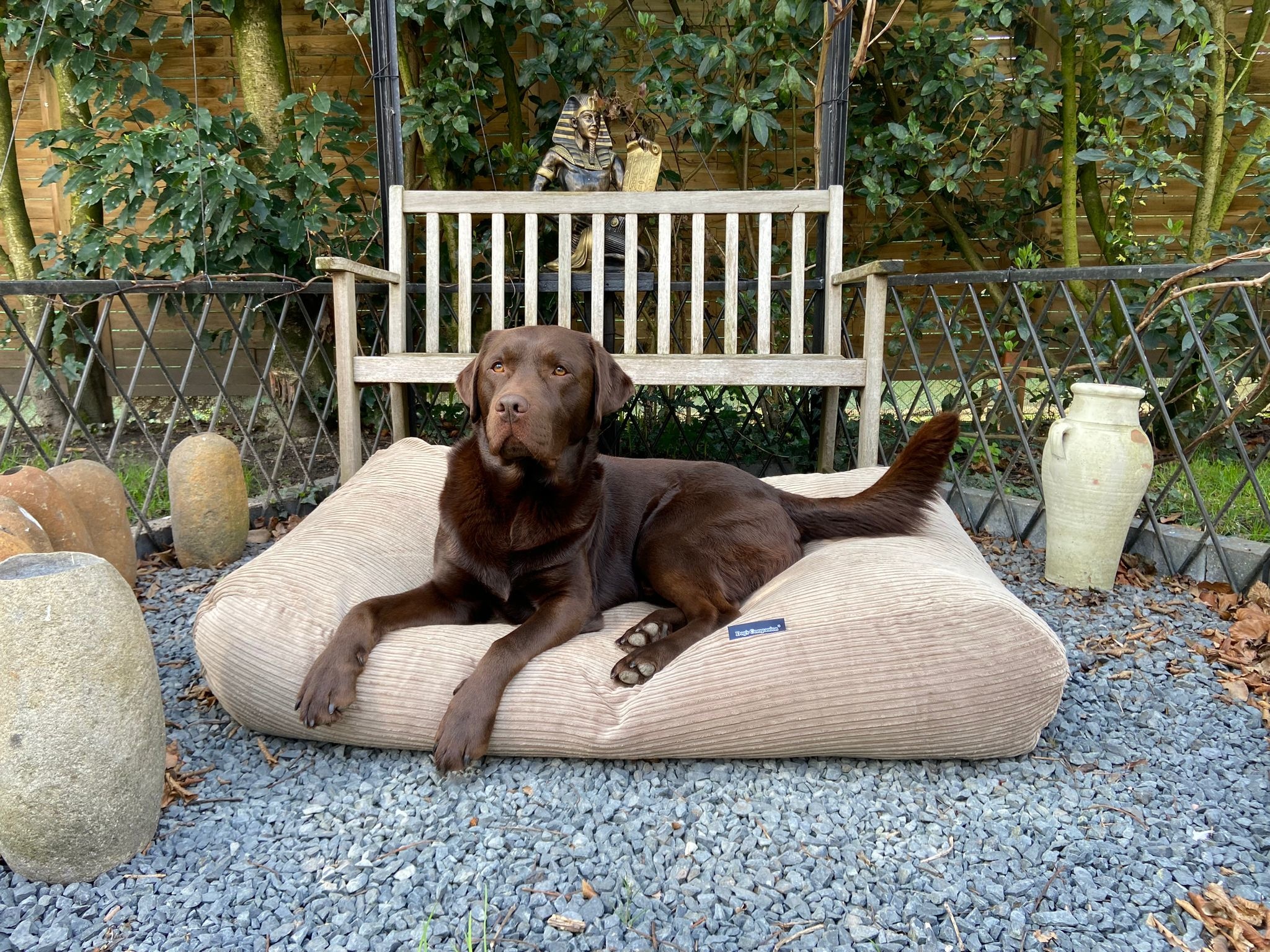 Hondenbed Lever Ribcord | Comfortabel & stijlvol hondenkussen - Dog's ...